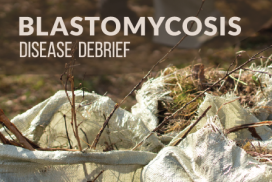 Blastomycosis – National Collaborating Centre for Infectious Diseases