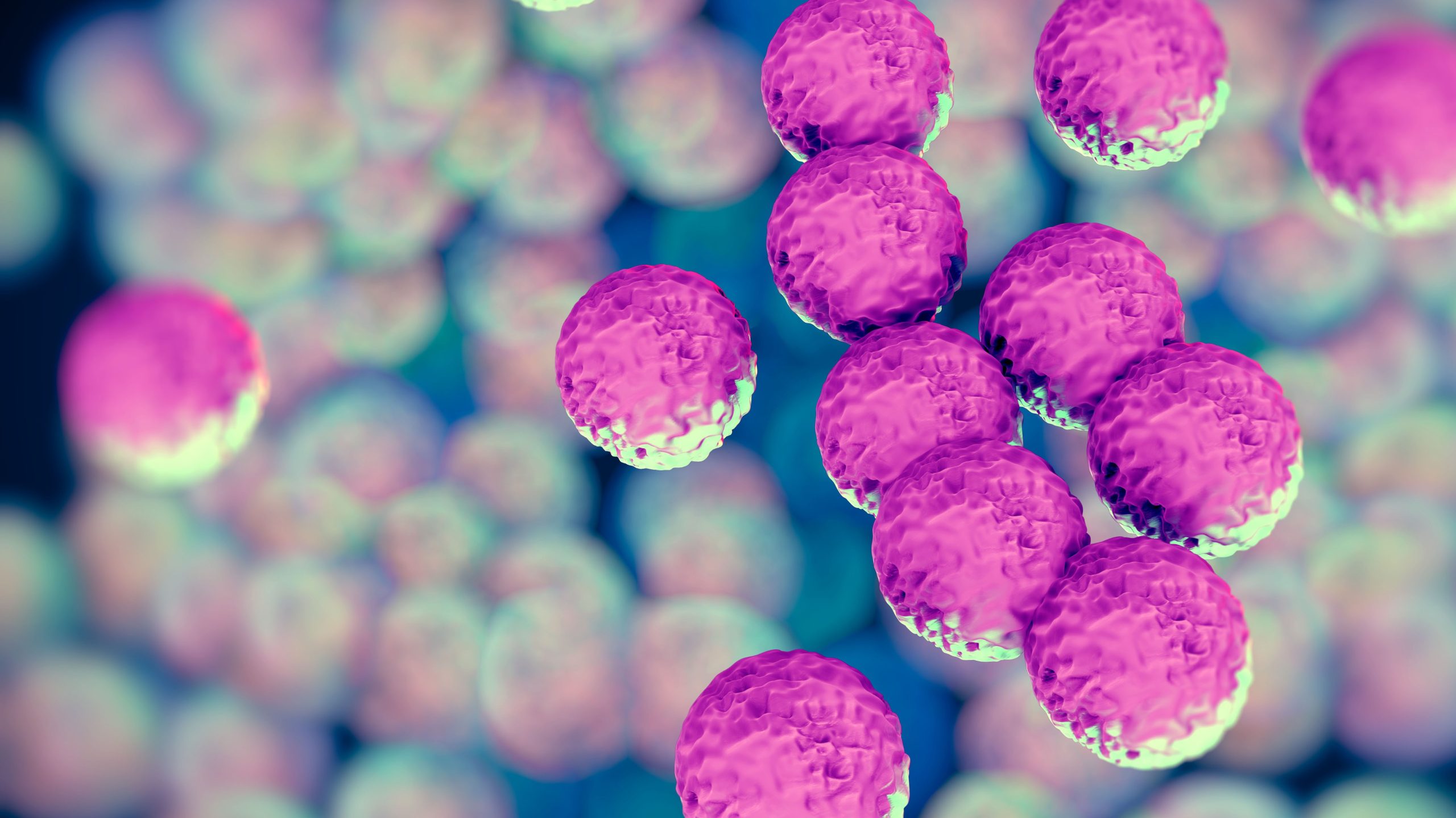 Fact Sheet: MRSA in Correctional Facilities and Shelters – National ...