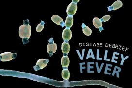 Valley Fever – National Collaborating Centre for Infectious Diseases