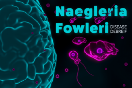 Naegleria Fowleri – National Collaborating Centre for Infectious Diseases